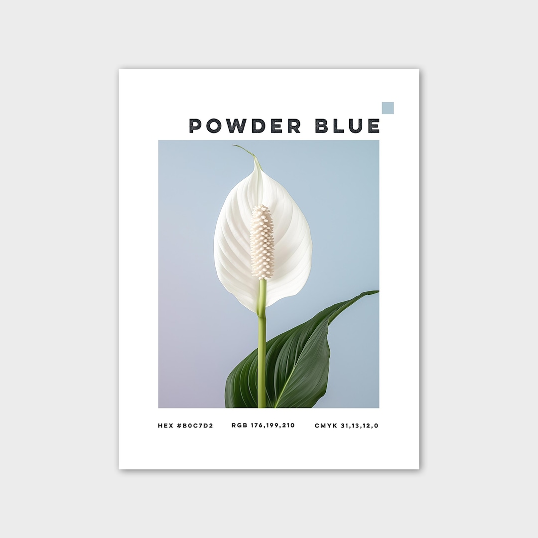 Modern Powder Blue Color Palette Poster, Minimalist Flower Wall Art ...