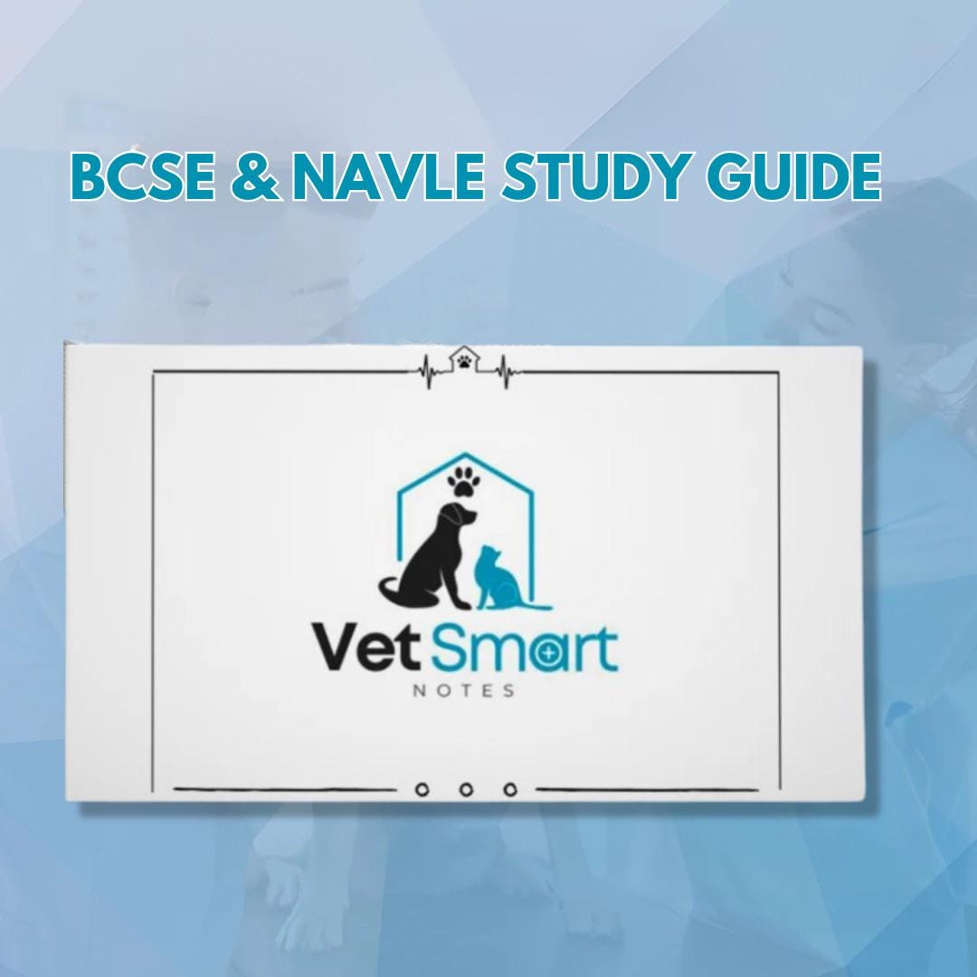 Master the BCSE & NAVLE: the Ultimate Study Guide for Success! - Etsy