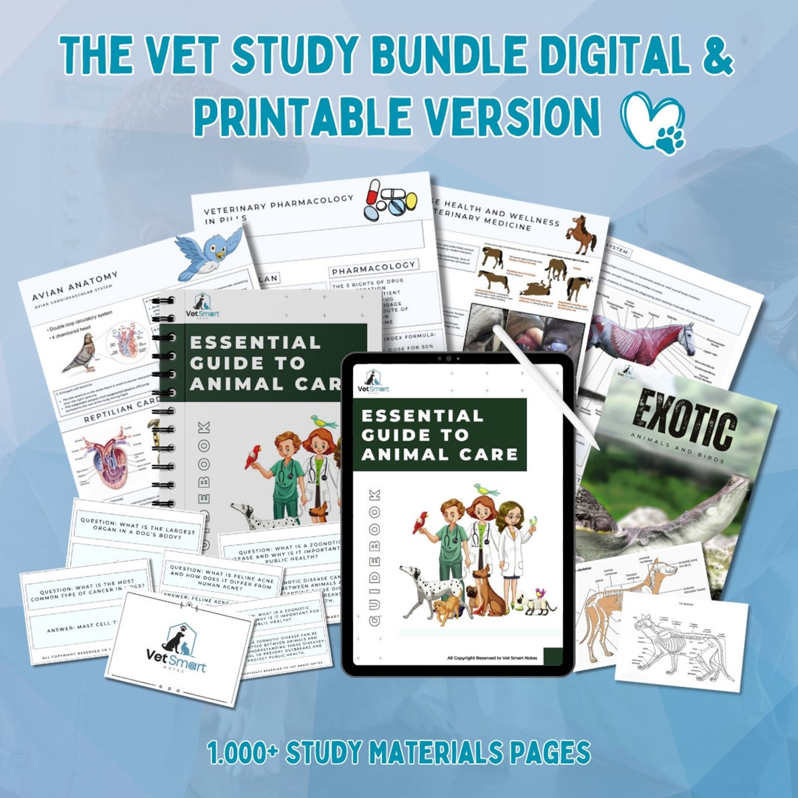Pet Vet Planner All Digital and Printable- 2 Different Versions - Etsy