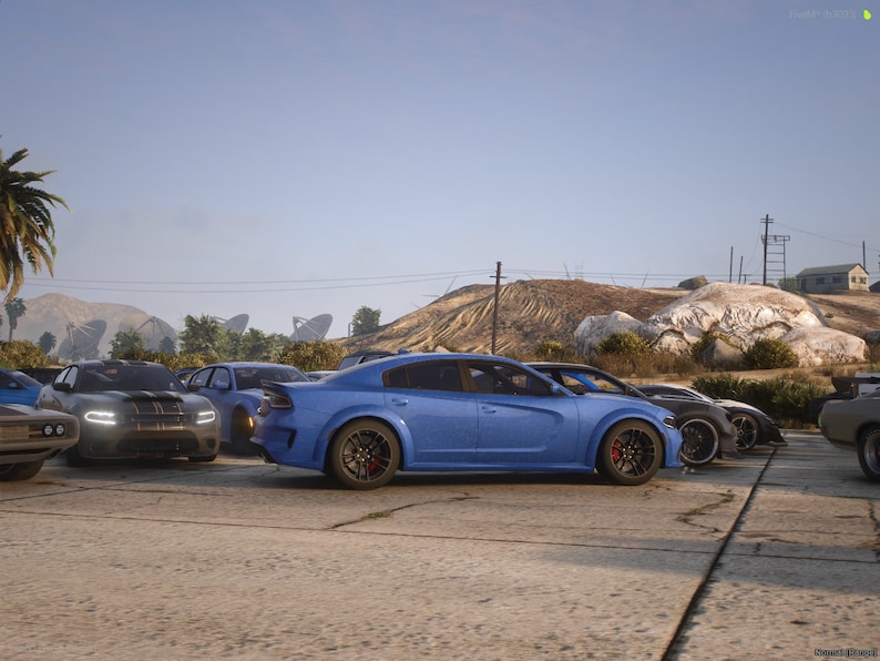 200+ Fivem Debadged/unbraned TOS Compliant Vehicles! - Etsy