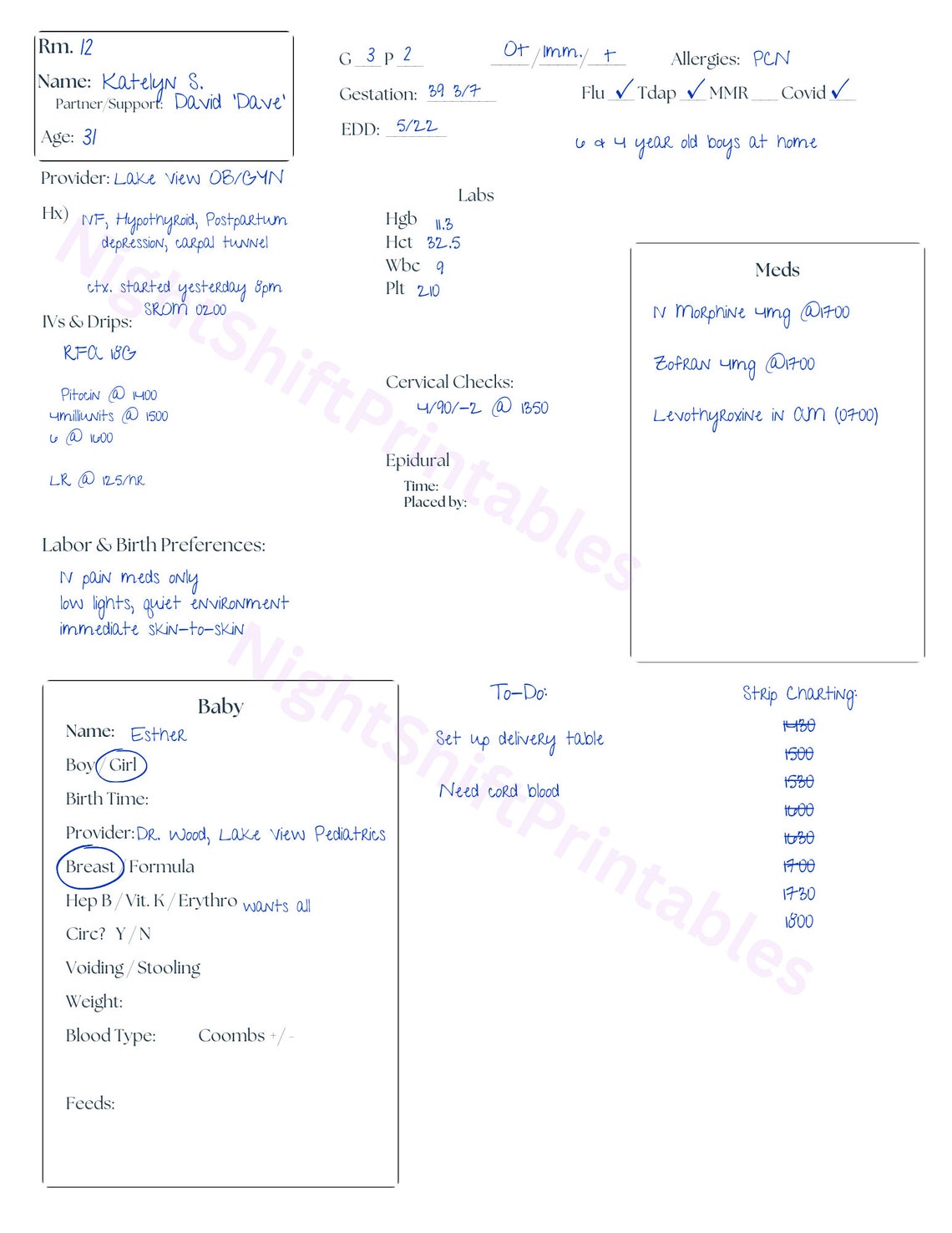 Simple Labor and Delivery Nursing Brain & Report Sheet - Etsy