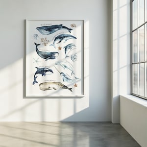Whale Print Watercolor Ocean Animal Wall Art Marine Life Poster ...