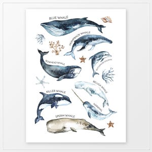 Whale Print Watercolor Ocean Animal Wall Art Marine Life Poster ...