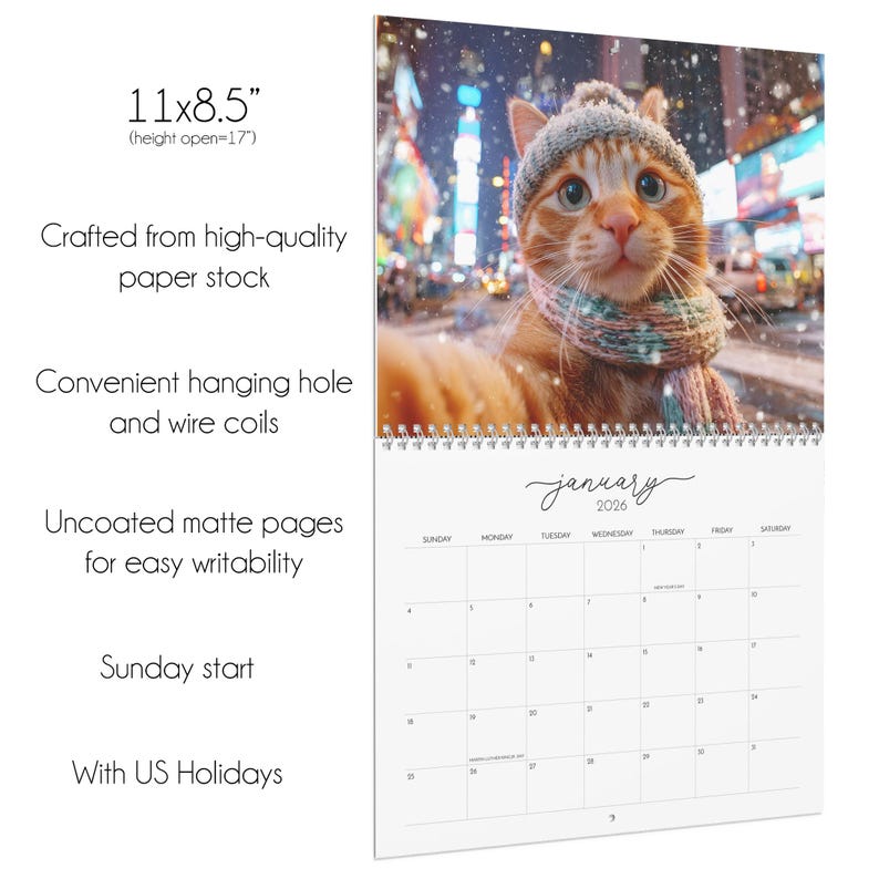 2026 Funny Cat Calendar Monthly Wall Calendar Planner for Pet Lover ...