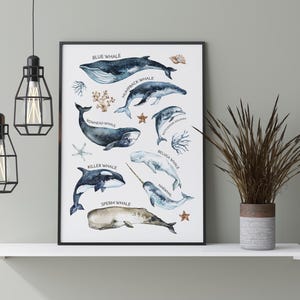 Whale Print Watercolor Ocean Animal Wall Art Marine Life Poster ...