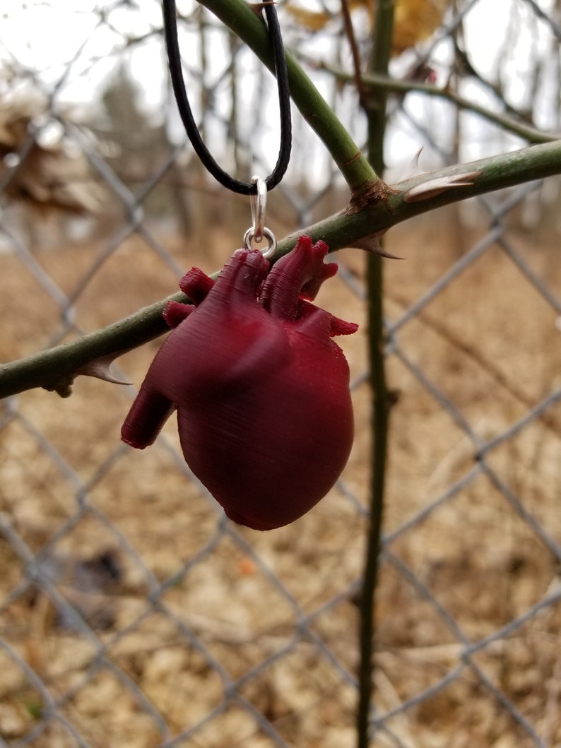 Human Heart Cardiac Anatomical 3D Printed Witch Pagan Wicca | Etsy