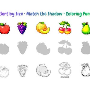 Fruit Sorting & Shadow Matching Game Printable | Toddler Busy Book ...