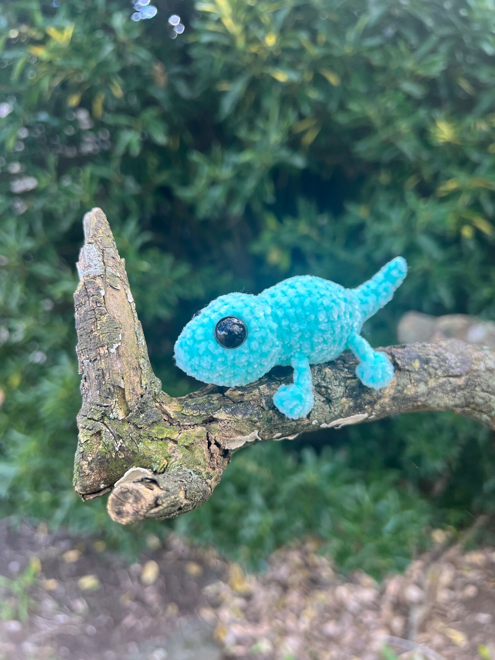 Crocheted Little Lizard- Basil - Etsy