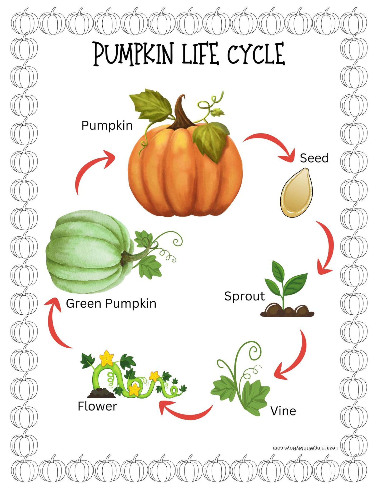 Fall Fun Pumpkin Preschool /toddler Math & Literacy Activity Pack 24 NO ...