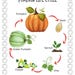 Fall Fun Pumpkin Preschool /toddler Math & Literacy Activity Pack 24 NO ...