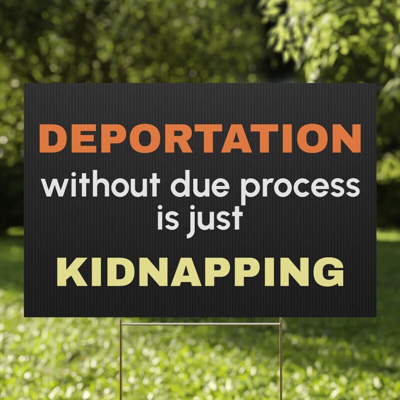 Due Process Protest Signs - Etsy