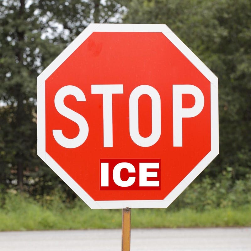 Ice Protest Sign - Etsy