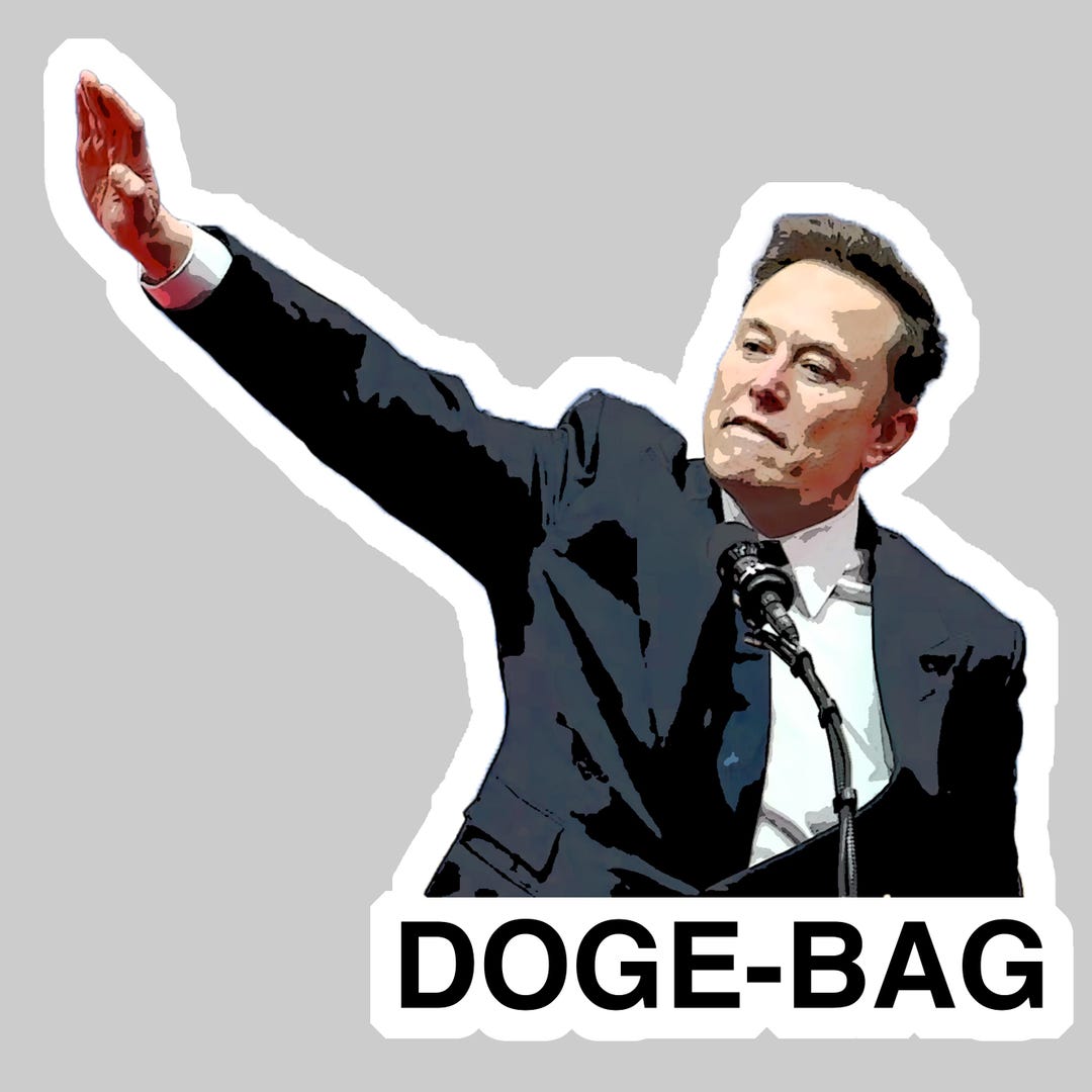 DOGE-BAG: Anti-elon Musk Sheet of 16 Stickers Anti-trump Anti-musk Anti ...