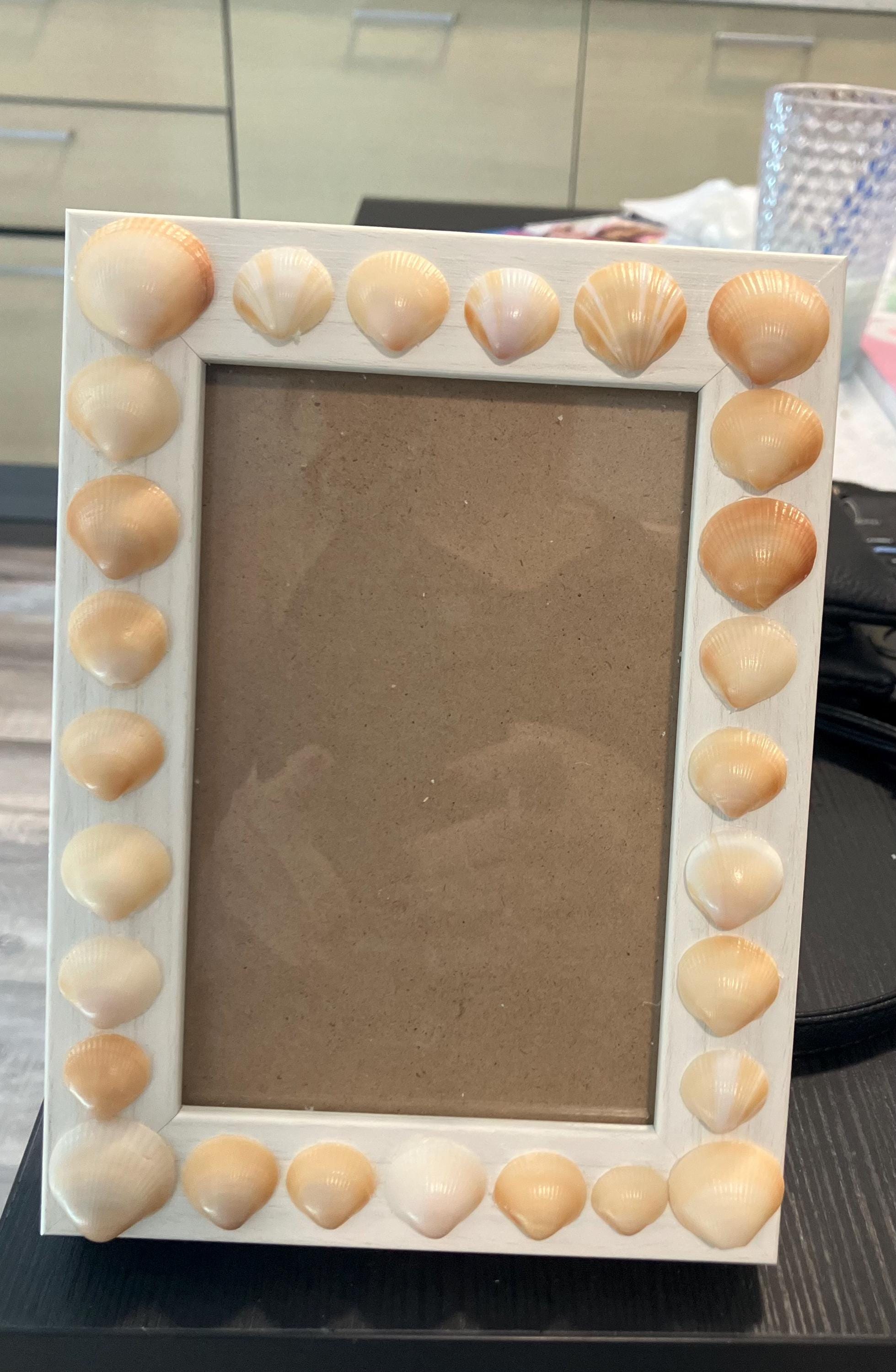 Shell Frame - Etsy