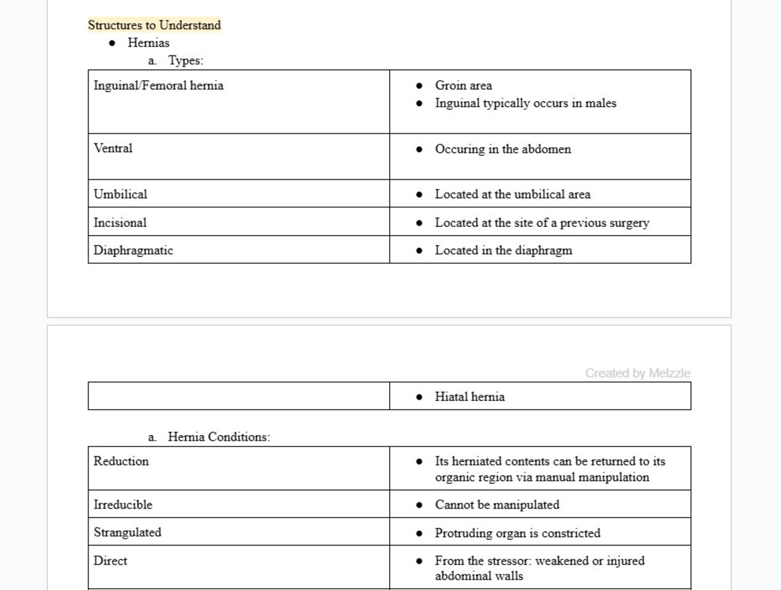 CST Study Guide Sample - Etsy