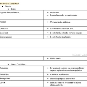CST Study Guide Sample - Etsy
