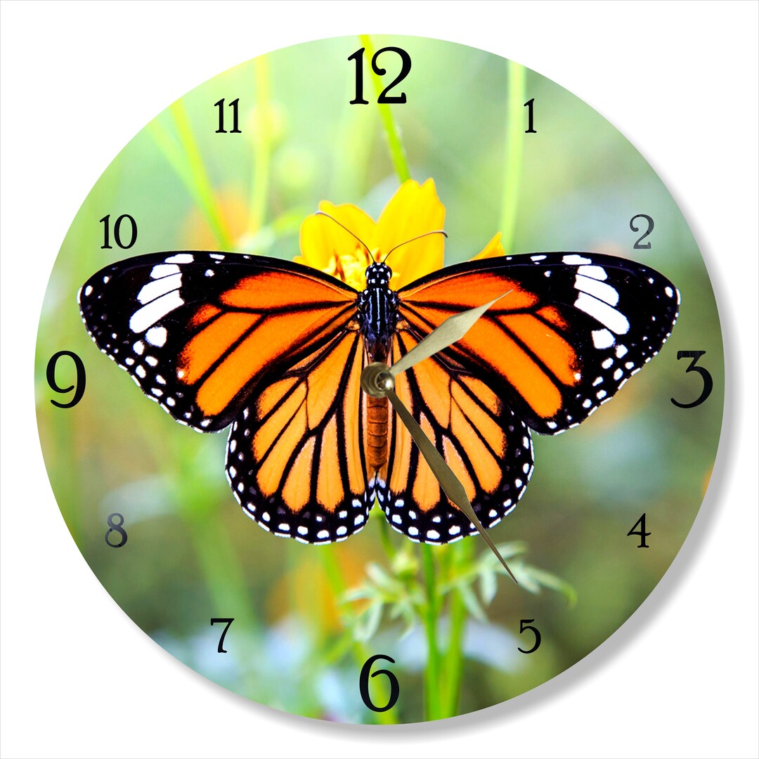 Butterfly Wall Clock: Painted Vintage Vinyl Record Decor (12 Inch) - Etsy