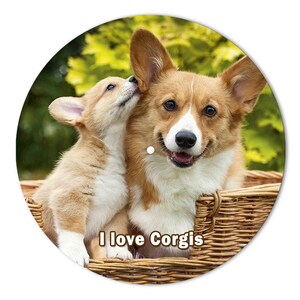Corgi Wall Decor Painted 12 Made Out of Vintage Vinyl Record, Corgi ...