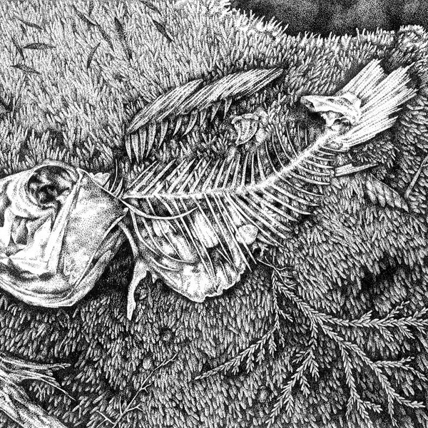 Skeleton Ink Drawing - Etsy