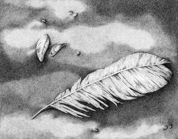 Framed Beach Feather Sea Shell Drawing Stipple Ink Original - Etsy