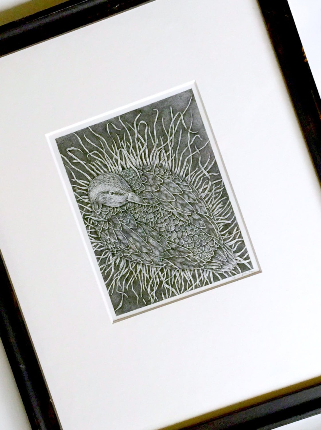 Duck on Nest Drawing, Framed Stipple Ink Original Drawing, Mother Duck ...
