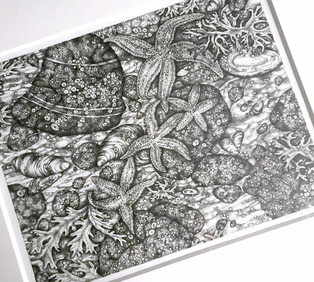 Tidal Pool Drawing, Framed Stipple Ink Drawing, Framed Original Art ...