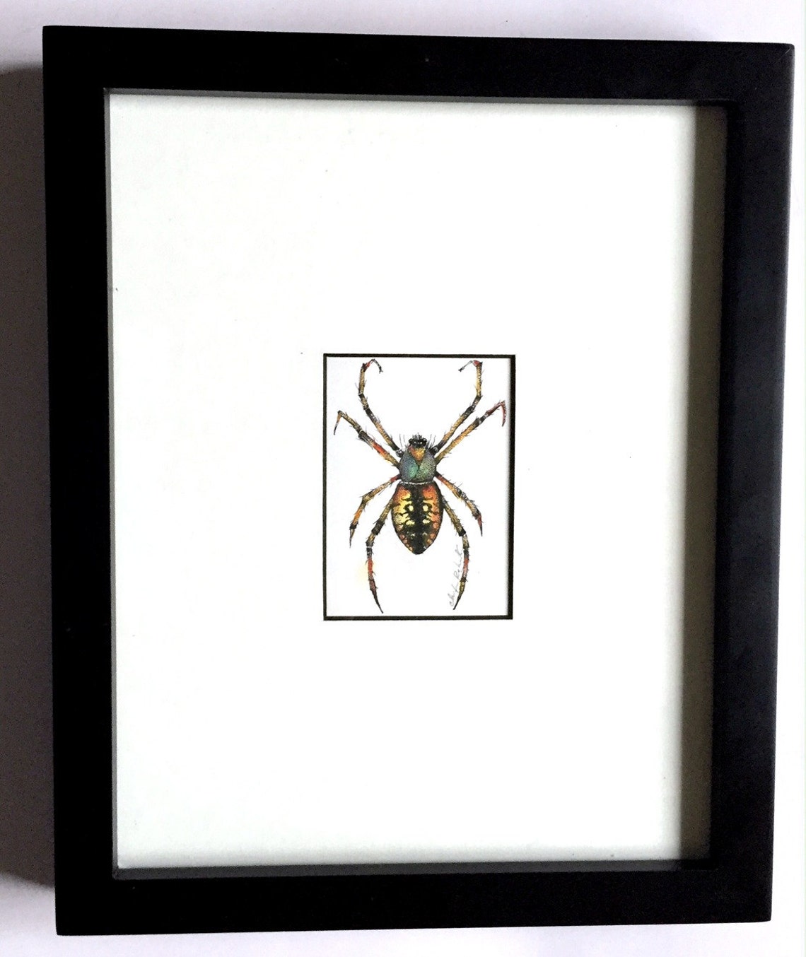 Spider Original Drawing, Framed Ink and Watercolor Drawing, Framed ...