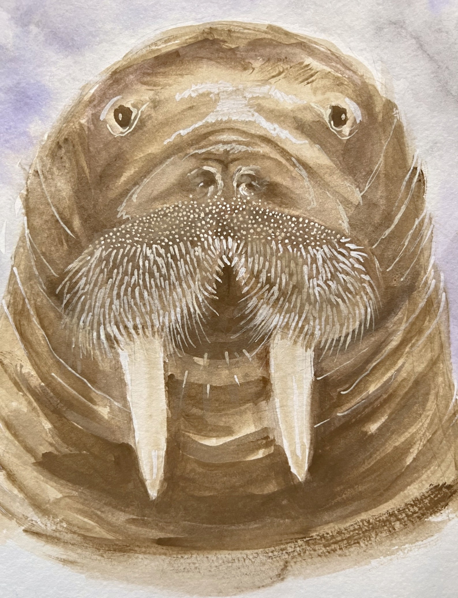 Walrus Portrait, Walrus Art, Walrus Watercolor, ORIGINAL Watercolor of ...