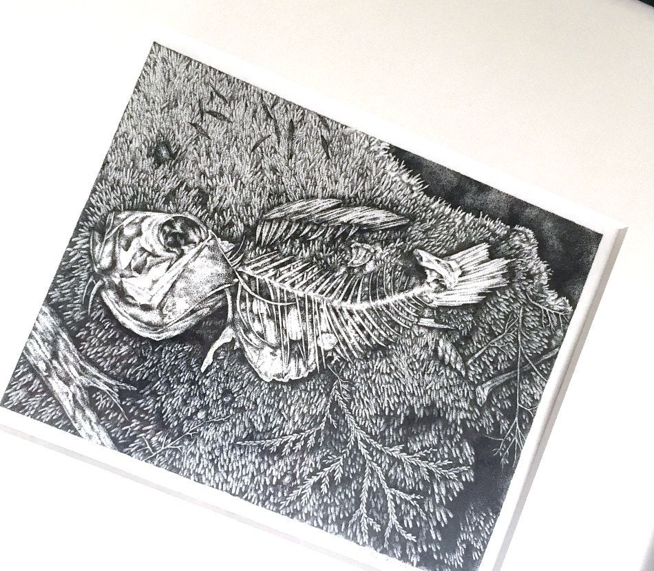 Fish Skeleton Drawing, Framed Stipple Ink Drawing, Framed Original Art ...
