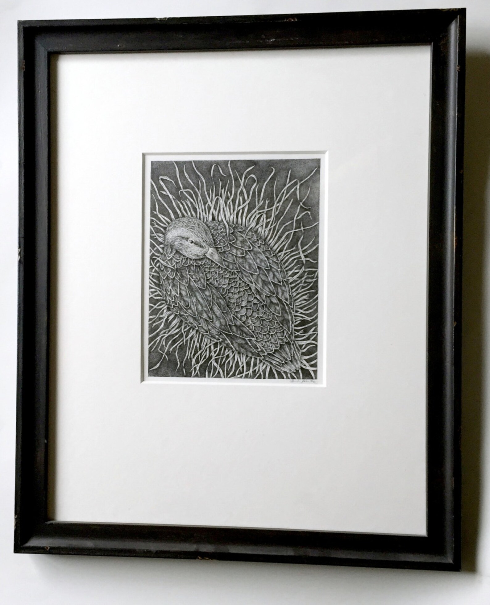 Duck on Nest Drawing, Framed Stipple Ink Original Drawing, Mother Duck ...