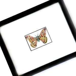 Moth Art Original Drawing, Framed Moth Ink and Watercolor Drawing ...