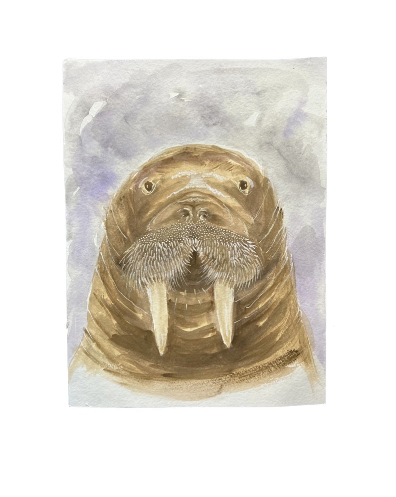 Walrus Portrait, Walrus Art, Walrus Watercolor, ORIGINAL Watercolor of ...