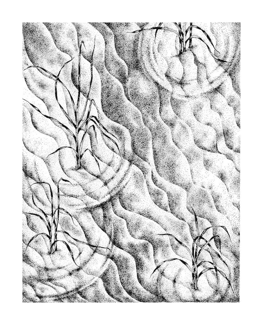 Dune Sand Beach Drawing, Framed Beach Stipple Ink Drawing, Framed ...