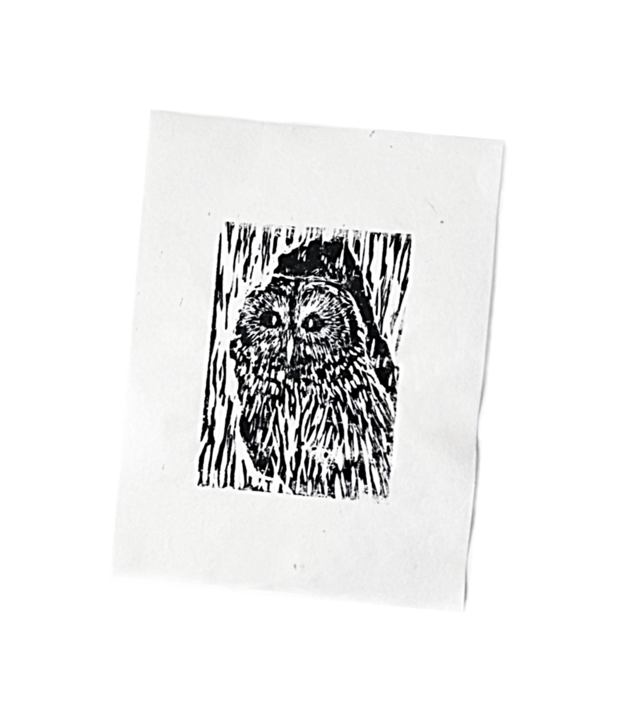 Owl Linocut, Barred Owl Blockprint, Original Owl Art, Barred Owl Block ...