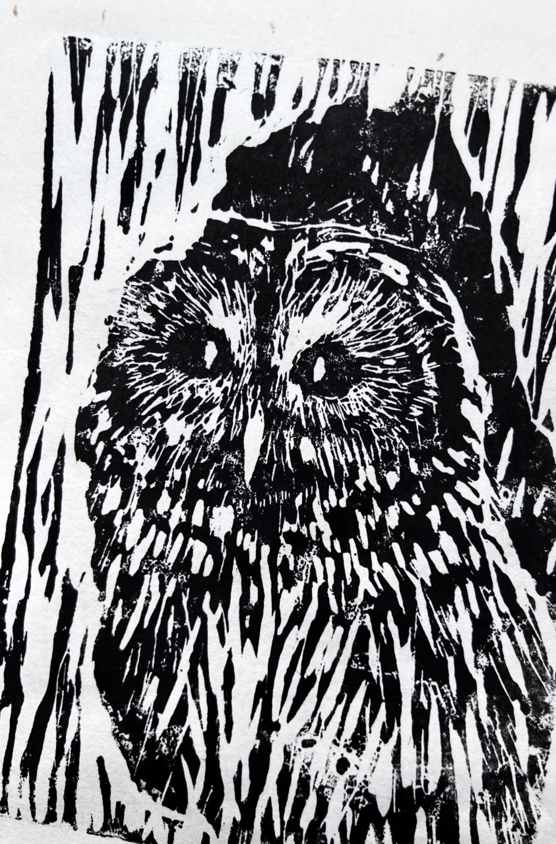 Barred Owl Linocut Print, Original Black Ink Blockprint - Etsy