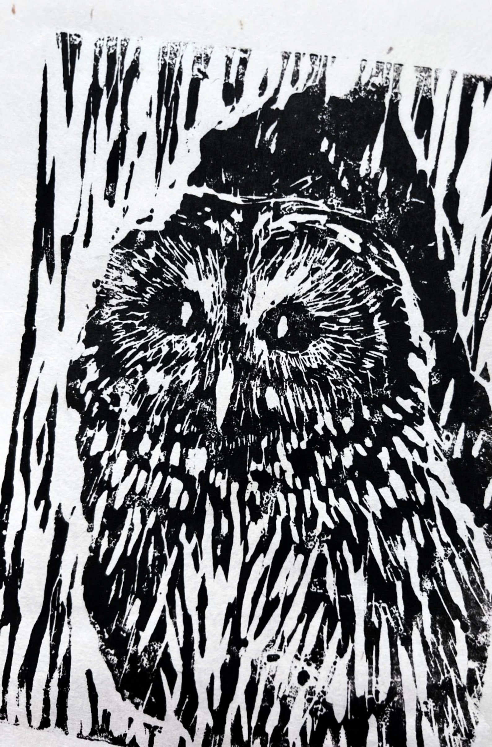 Barred Owl Linocut Print, Original Black Ink Blockprint - Etsy