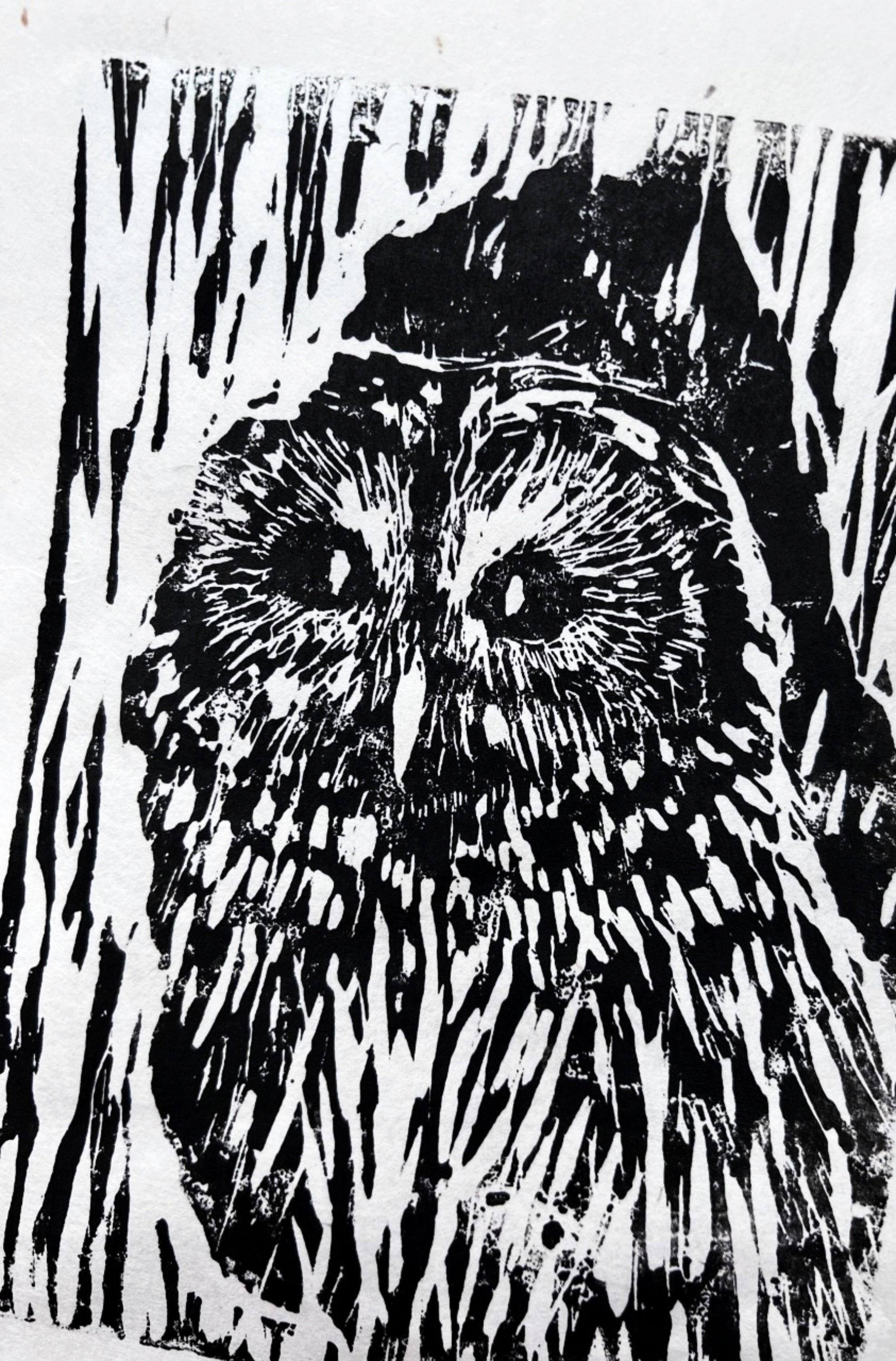 Owl Linocut, Barred Owl Blockprint, Original Owl Art, Barred Owl Block ...