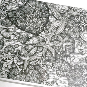 Tidal Pool Drawing, Framed Stipple Ink Drawing, Framed Original Art ...