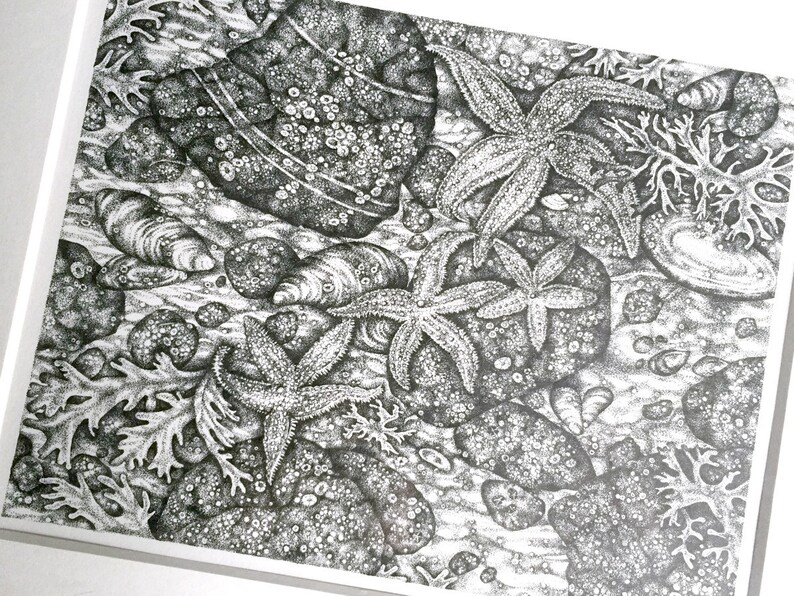 Tidal Pool Drawing, Framed Stipple Ink Drawing, Framed Original Art ...