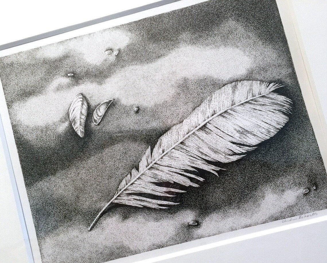 Framed Beach Feather Sea Shell Drawing, Stipple Ink Original Drawing ...