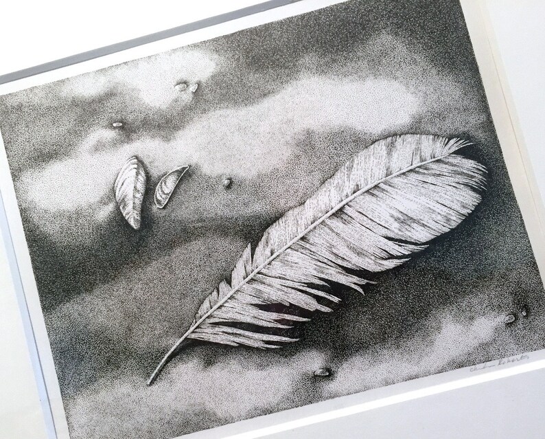 Framed Beach Feather Sea Shell Drawing, Stipple Ink Original Drawing ...