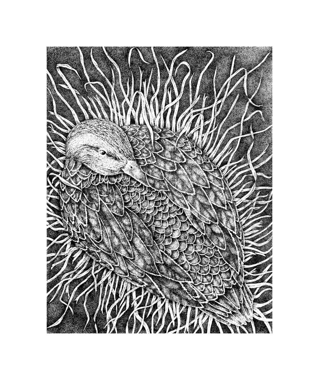 Duck on Nest Drawing, Framed Stipple Ink Original Drawing, Mother Duck ...