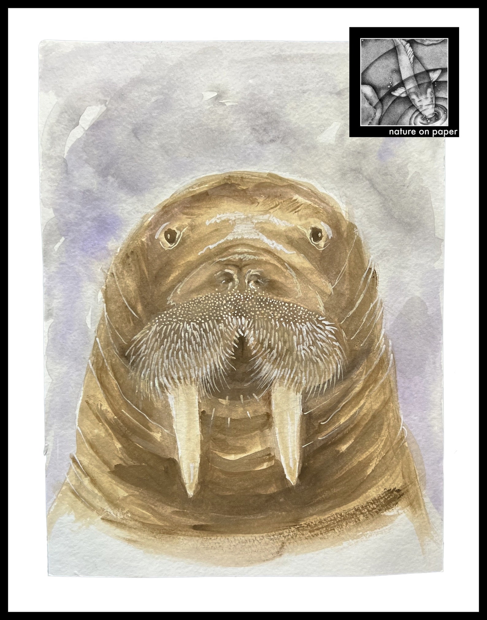 Walrus Portrait, Walrus Art, Walrus Watercolor, ORIGINAL Watercolor of ...