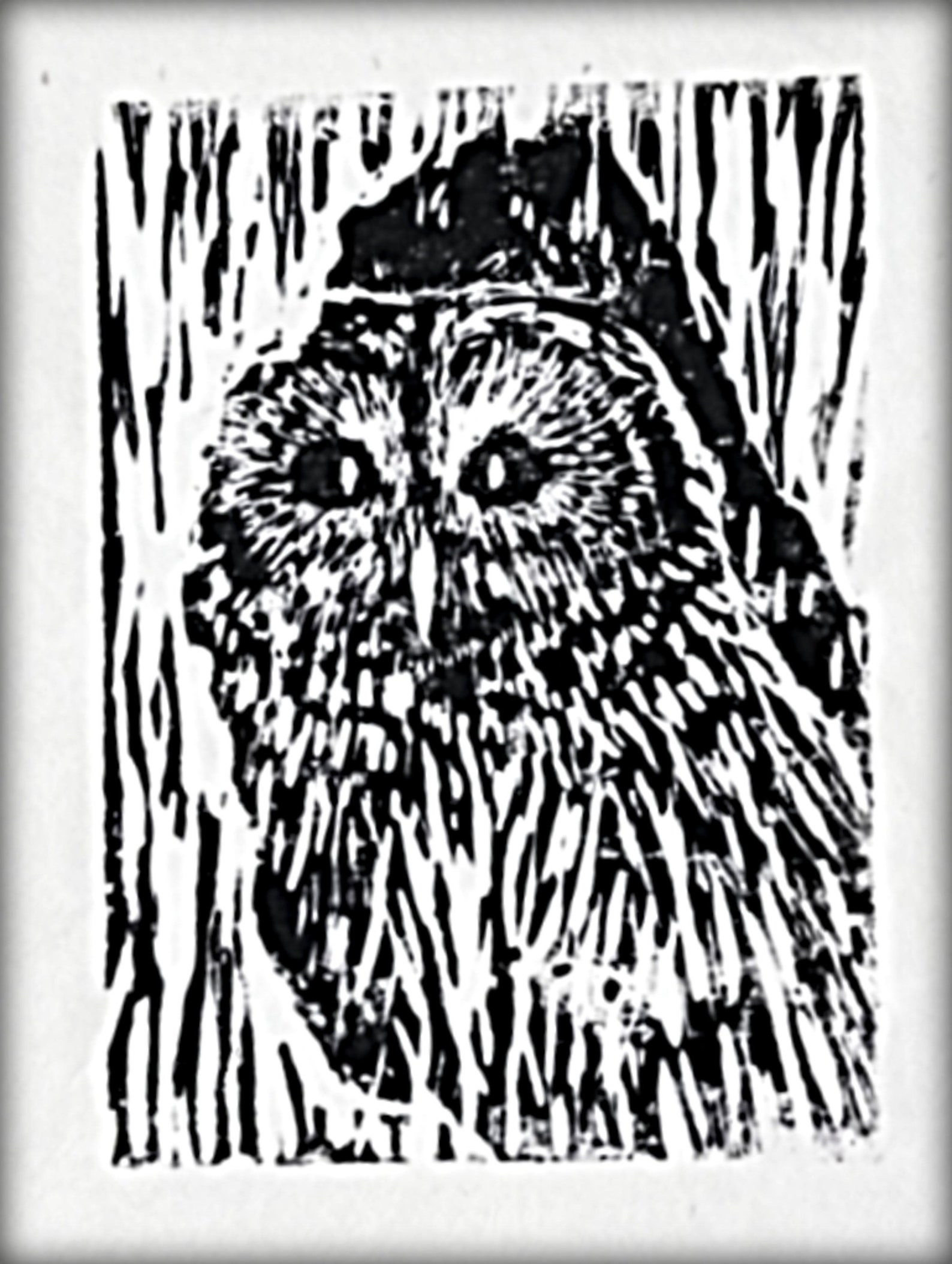 Owl Linocut, Barred Owl Blockprint, Original Owl Art, Barred Owl Block ...