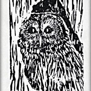 Owl Linocut, Barred Owl Blockprint, Original Owl Art, Barred Owl Block ...
