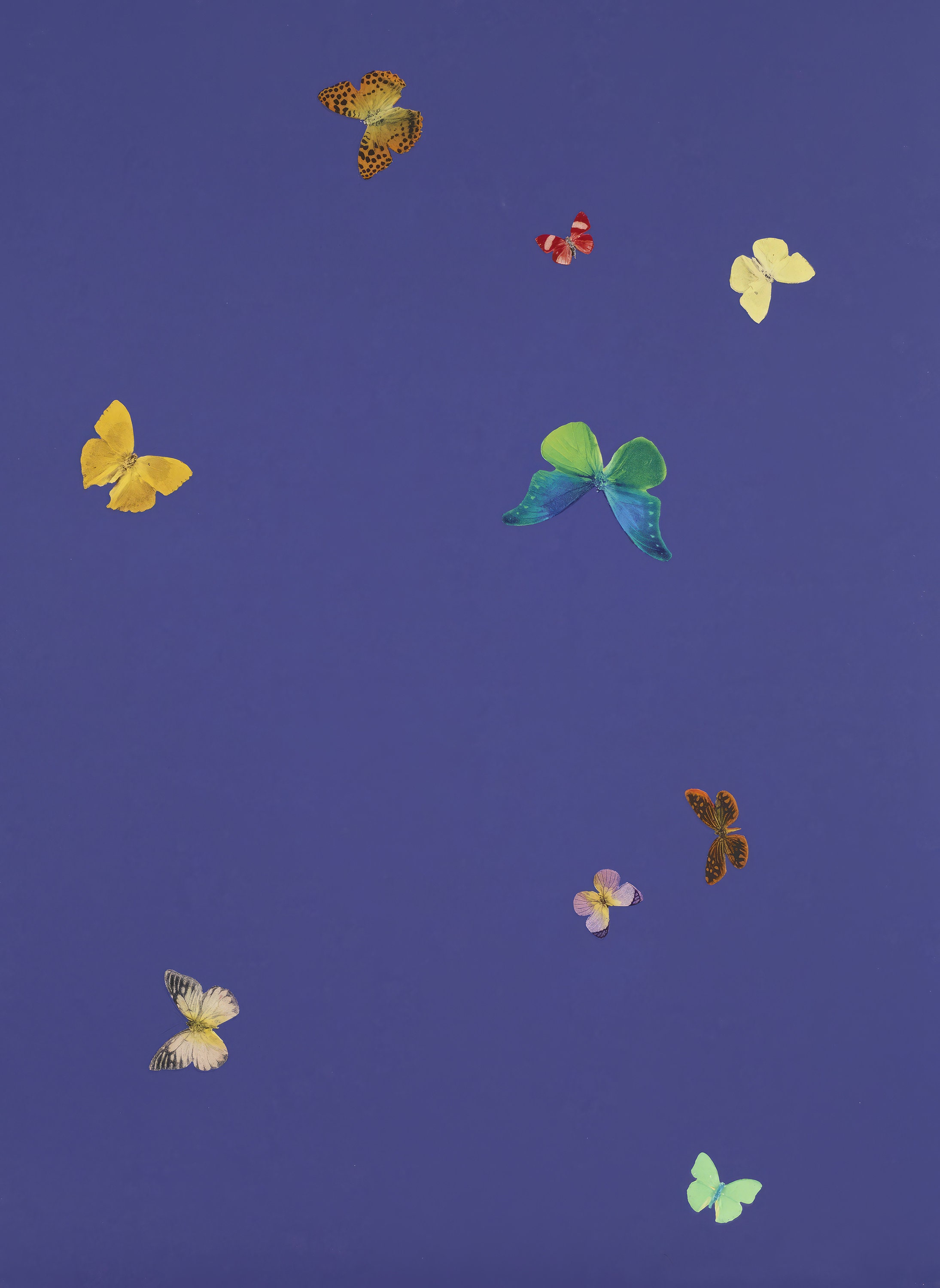 Damien Hirst : Your Heart From 'the Wonder of You' 2015 Giclee Wall Art ...