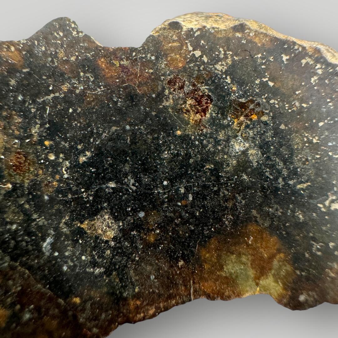 Genuine H4 Meteorite Slice: Asteroid Belt Space Rock (COA) - Etsy