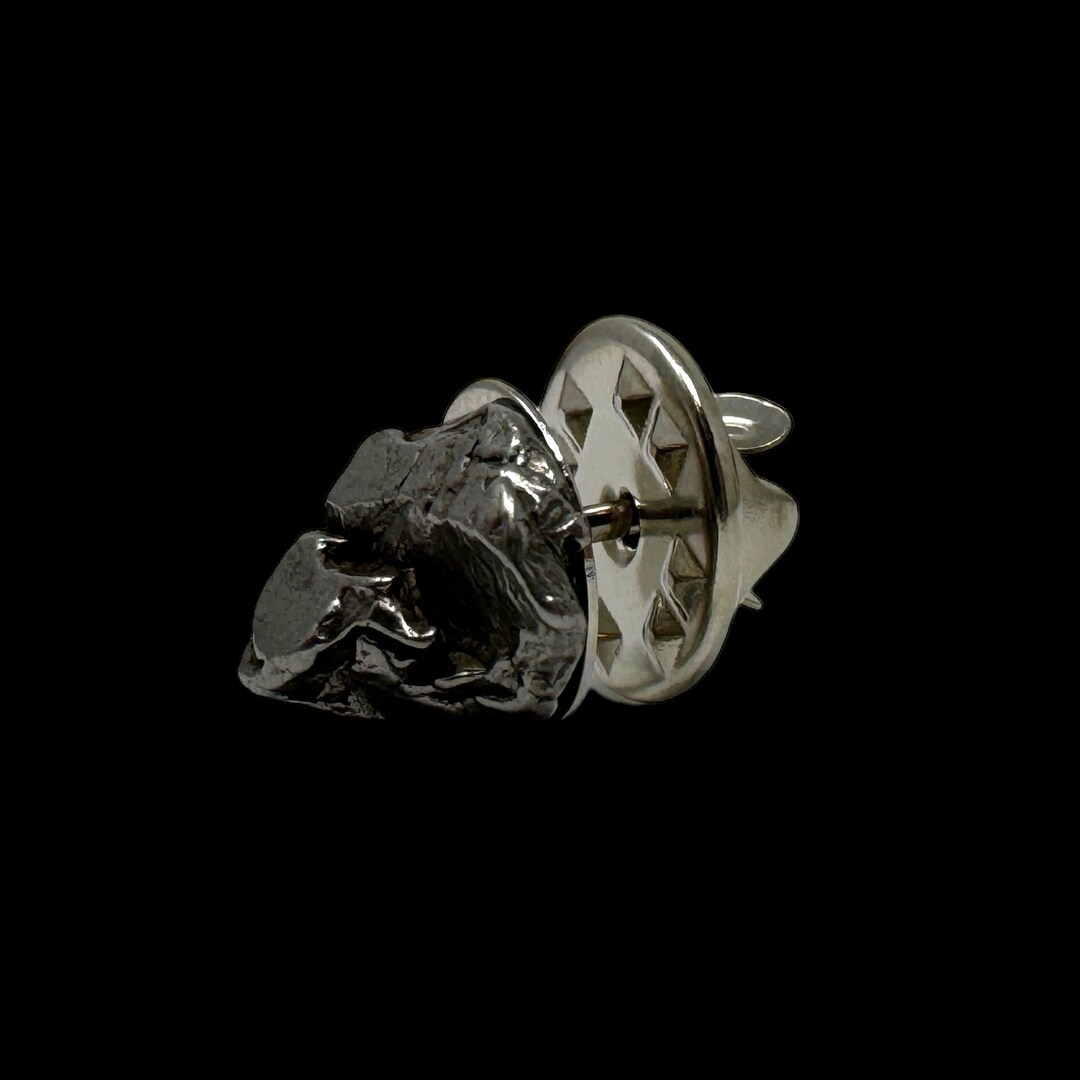 RARE Original Iron Meteorite Pin Discovered 1576 Apollo NASA Science ...