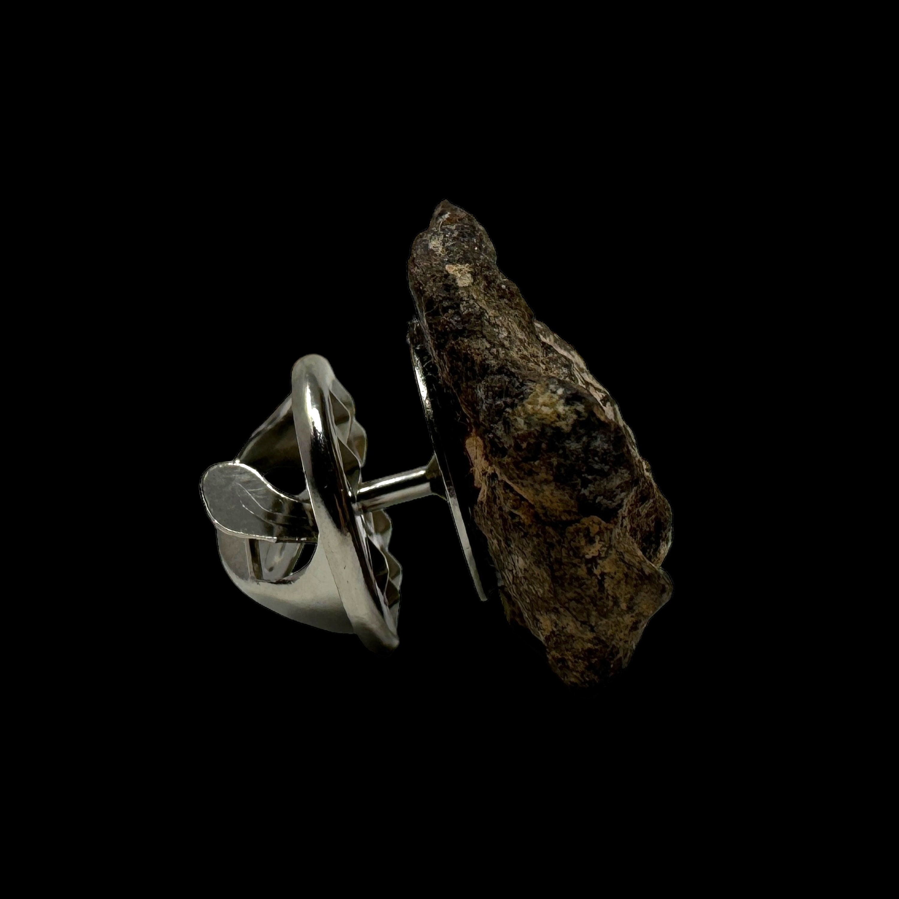 RARE Original Meteorite Sahara Desert Fusion Crust Pin Apollo NASA ...