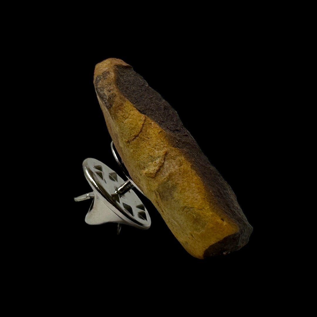 Prehistoric Plant Fossil Pin: Carboniferous Period Paleontologist Gift ...